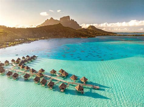 Where Is The Real Te Fiti Island Allears Net