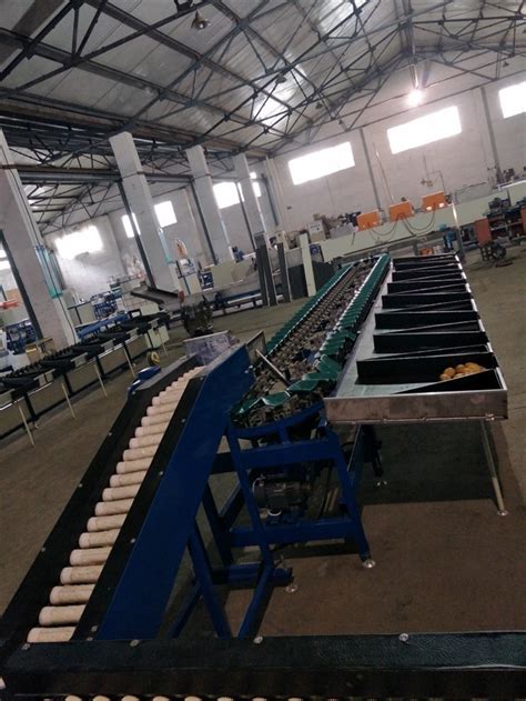 China Customized Horizontal Electronic Fruit Grading Machine Suppliers Manufacturers Factory
