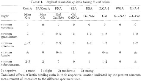 Table 1 From Lectin Binding In Oral Mucosa Of Mammals Semantic Scholar