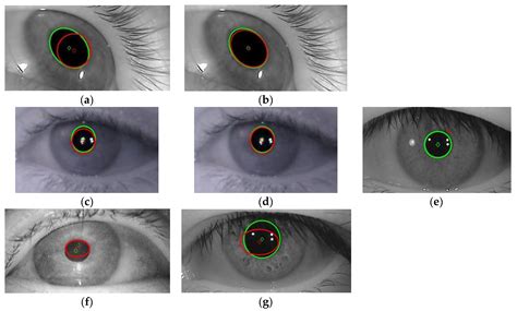 Sensors Free Full Text Development Of An Eye Tracking Based Human Computer Interface For