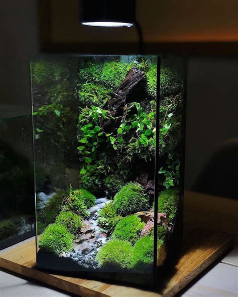 How To Create A Self Sustaining Ecosystem In Your Home Craftsmumship