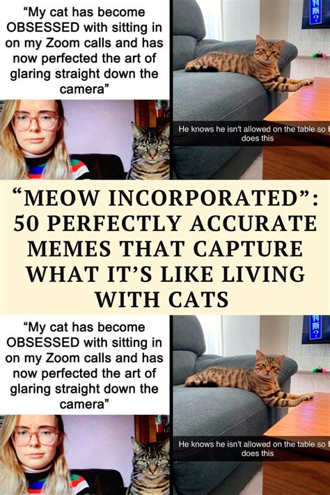 Meow Incorporated 50 Perfectly Accurate Memes That Capture What Its