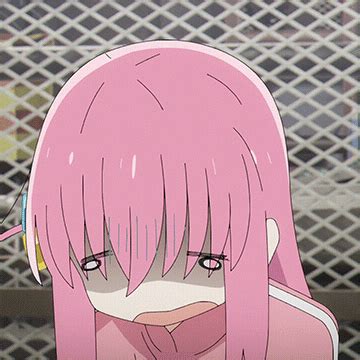 Bocchi