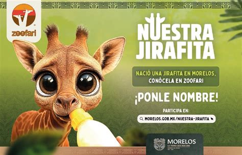 Así Invertirá Vantive Antes Baxter En Morelos La Jornada Morelos