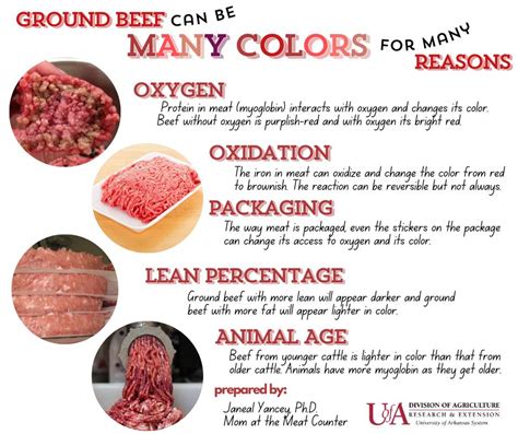 The Many Colors Of Ground Beef The Meat Locker