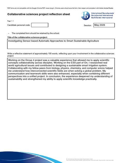 Reflection Form Ib Template Pdf