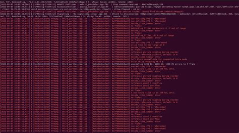 Errors When Broadcasting Via Webrtc · Issue 886 · Airensoft