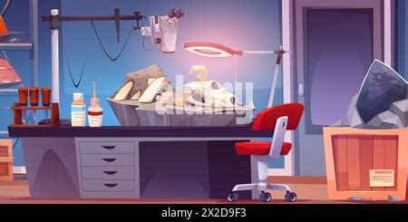 Fossil Lab Interior With Research Tools And Exhibits Under Study Paleontology Cabinet Inside