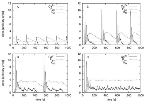 Different Calcium Dynamics And Coupled Enzyme Coupling Of The Download Scientific Diagram