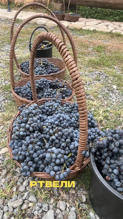 Events Weddings Tours Content Georgia Дубай город в котором можно купить абсолютно