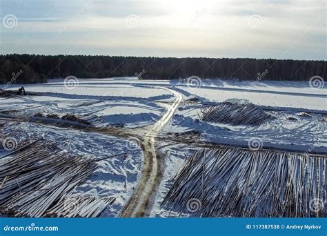 The Felled Trees Lie Under The Open Sky Deforestation In Russia Destruction Of Forests In