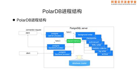 Polardb For Postgresql 开源必读手册 Polardb数据库结构（中） 阿里云开发者社区