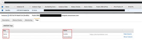 Filter AWS EC2 Instances Using Tags With AWS CLI Screenshots Tech Antidote