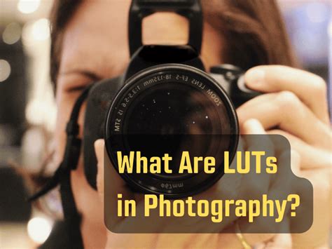 What Are Luts In Photography