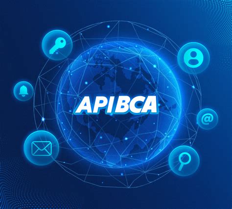 developer api