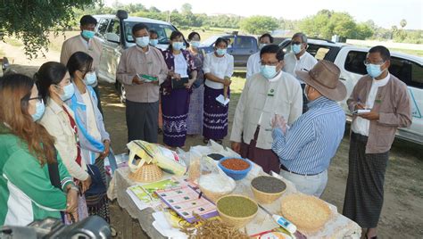 စိုက်ပျိုးရေးဦးစီးဌာန ညွှန်ကြားရေးမှူးချုပ် ဒေါက်တာရဲတင့်ထွန်း ပြည်ထောင်စုနယ်မြေ နေပြည်တော်အတွင