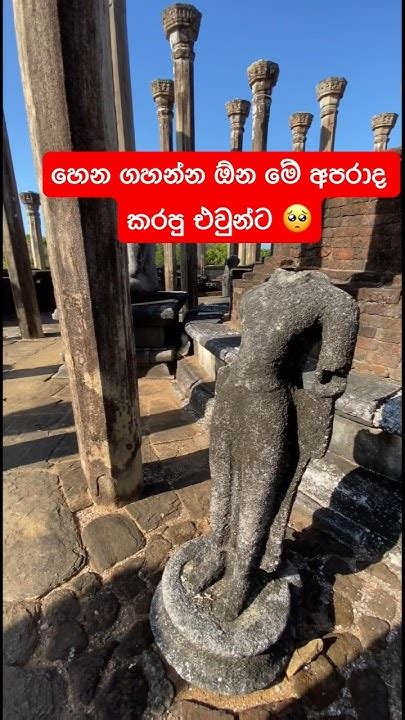 අන්තිම වෙනකන් බලන්න 🙏 බලන්නම ඕන Vedio එකක්😳 Travel Srilanka Shorts Travel Buddhism