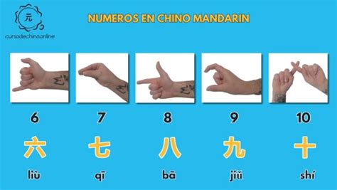 Numeros En Chino Hasta 999 Números Del 1 Al 100 En Chino Bjsmhf
