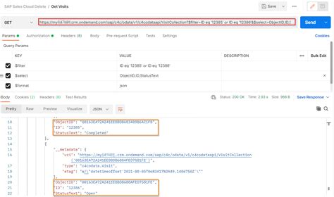SAP Sales Cloud C4C Is Easy OData API DELETE Requests