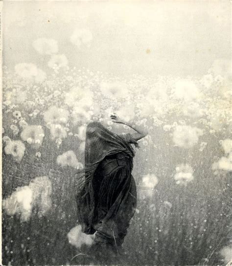 Softness Vintage Photography Art Photography Art