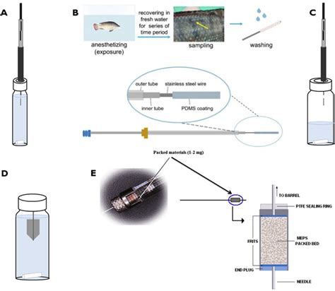 Schematic Representation Of Solid Phase Based Microextraction And Download Scientific Diagram