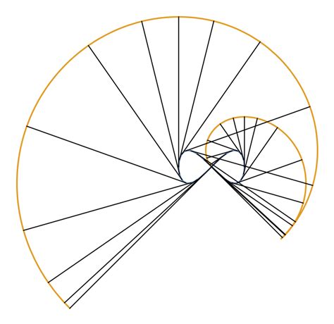 Involutecurve Wolfram Function Repository