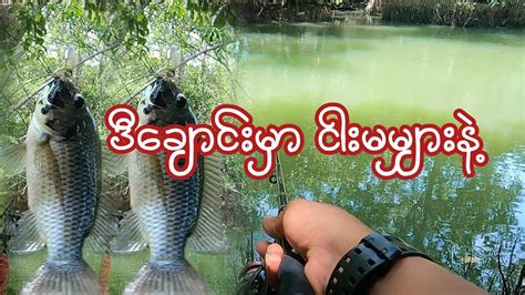 ဒီေခ်ာင္းမ်ိဳးမွာ ငါးမမွ်ားနဲ႔ Youtube