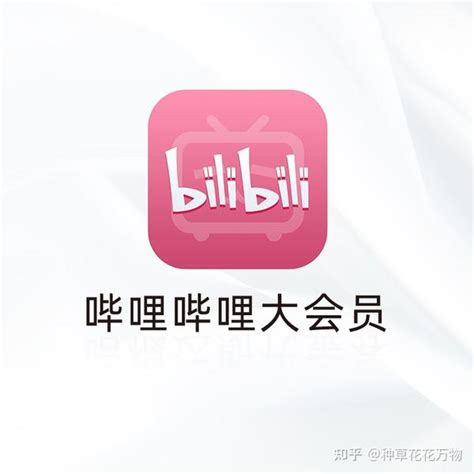 哔哩哔哩b站大会员年卡108元，优惠券领取入口，bilibili大会员和电视大会员的区别！