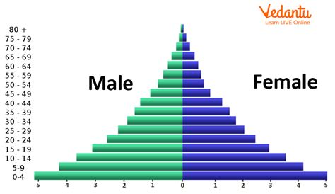Types Of Age Structure Diagrams Wiring Work