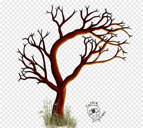 나뭇 가지 일러스트 오르간 식물 줄기 나무 여자 잎 분기 Png Pngegg