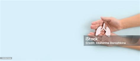 세계 폐렴의 날 또는 세계 결핵의 날 대처 폐를 들고 있는 어린 아이의 손 개념 호흡기와 가슴 세계 금연 담배의 날 폐암 폐 고혈압 결핵균에 대한 스톡 사진 및 기타 이미지