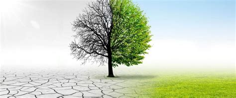 Projects Giulia Andrighetto