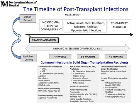 Ppt 1 Immunosuppressant Medications Calcineurin Inhibitors Cni