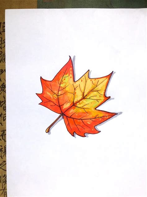 手抄报叶子的画法 手抄报叶子的画法图片 画趣文库（我爱生活）