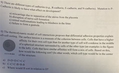 Solved 9 There Are Different Types Of Cadherins E G