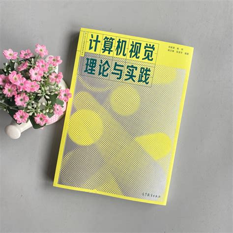 《计算机视觉理论与实践 【正版新书】正版】计算机视觉理论与实践 刘家瑛 杨帅 杨文瀚 段凌宇 新一代人工智能实践算理计》无著【摘要 书评 在线