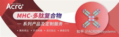 Mhc 多肽复合物——天然构象不容忽视！ 知乎