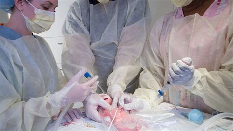 A Single Chip Cmos Pulse Oximeter With On Chip Lock In Detection