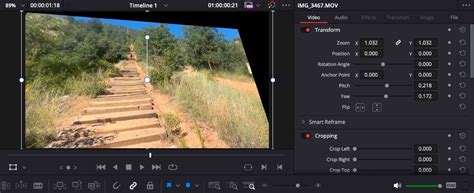 comment créer une vignette attrayante dans davinci resolve 18 5