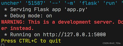 Flask框架（一）——run启动参数详解flask Run Csdn博客