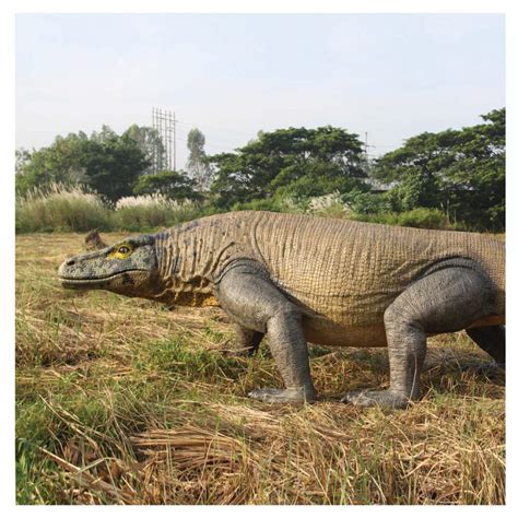 Megalania Megafauna Lizard Komodo Dragon Version Sculpture And Statue