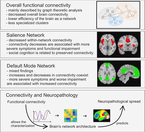 Functional Connectivity Fc In Behavioral Variant Frontotemporal Download Scientific Diagram