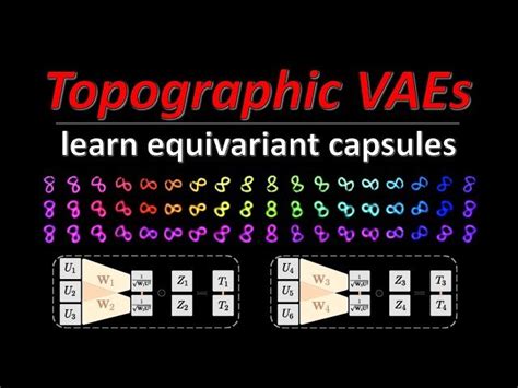 Free Video Topographic Vaes Learn Equivariant Capsules Machine