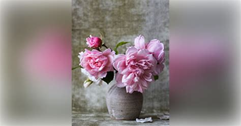 Obituary Information For Xiufen Geng 彭耿秀芬夫人