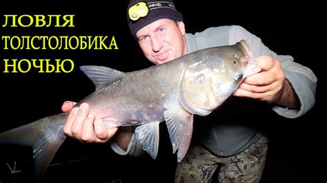 Ловля толстолобика ночью.Монтаж УБИЙЦА ТОЛСТОЛОБА на основную леску ...