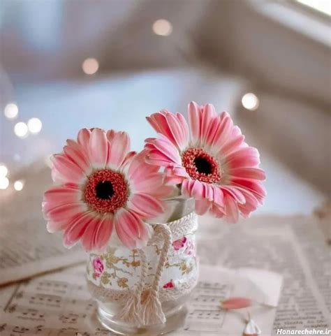 26 عکس از چهره مردانه برای پروفایل جذاب و خاص