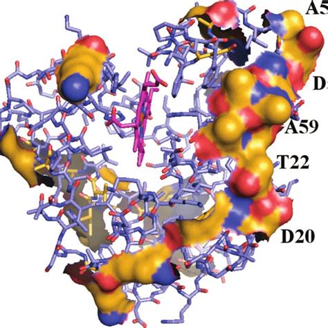 Diagram Made By Using The Program Pymol Illustrating The Surface Download Scientific Diagram