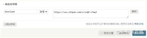 Typecho使用自定义字段实现下载按钮链接 知乎