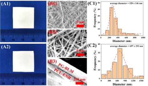 Electrospining Electrospun Drug Loaded Polycaprolactonepolycaprolactone Gelatin