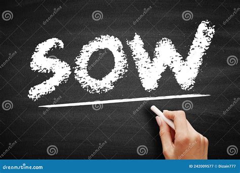 Sow Statement Of Work Document Routinely Employed In The Field Of Project Management Acronym
